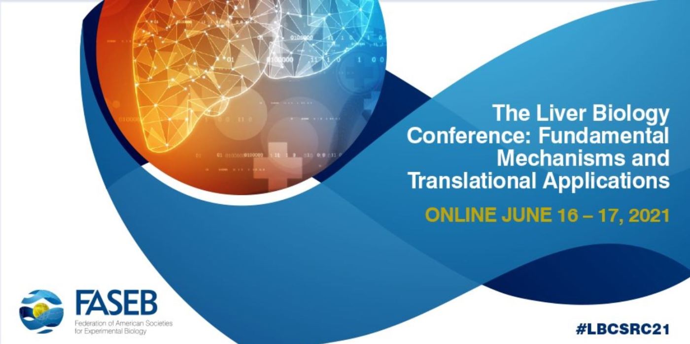 FASEB Liver Meeting 2021 – SMA Lab